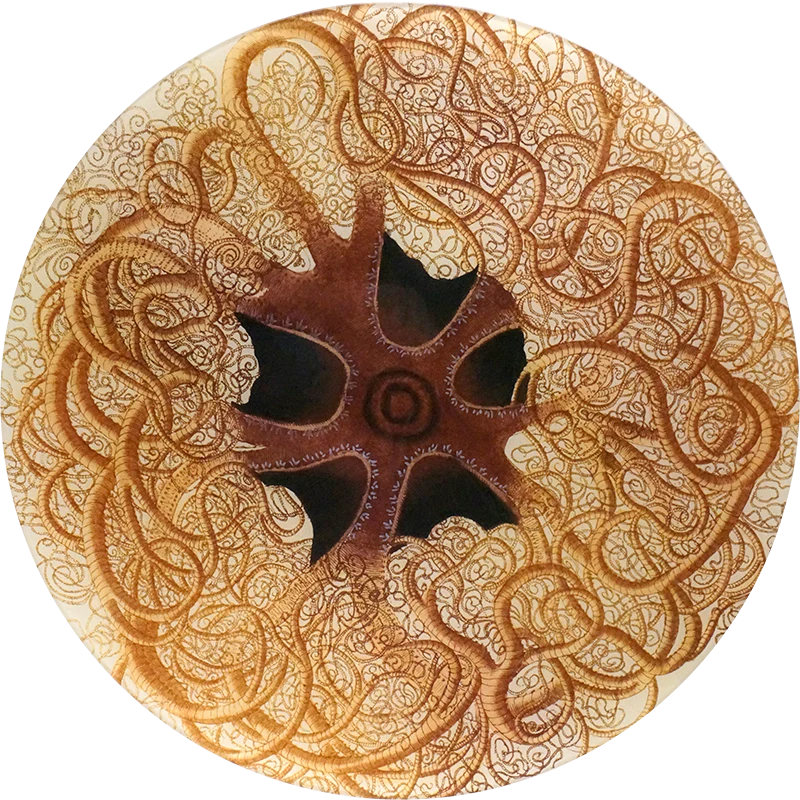 Large Round Brittlestar Tray